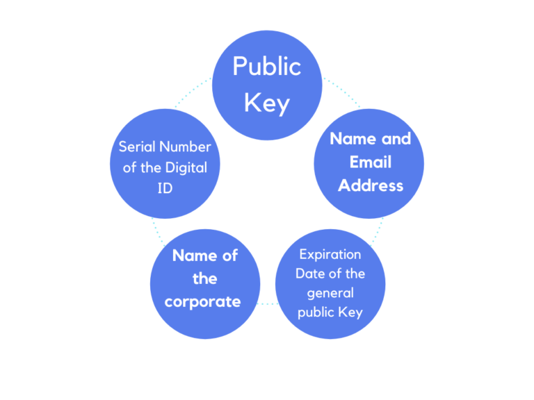 Apply Digital Signature Certificate Online | Setupfilings Apply Digital Signature Certificate Online | Setupfilings