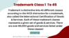Trademark Goods & Services Class Codes | SetupFilings