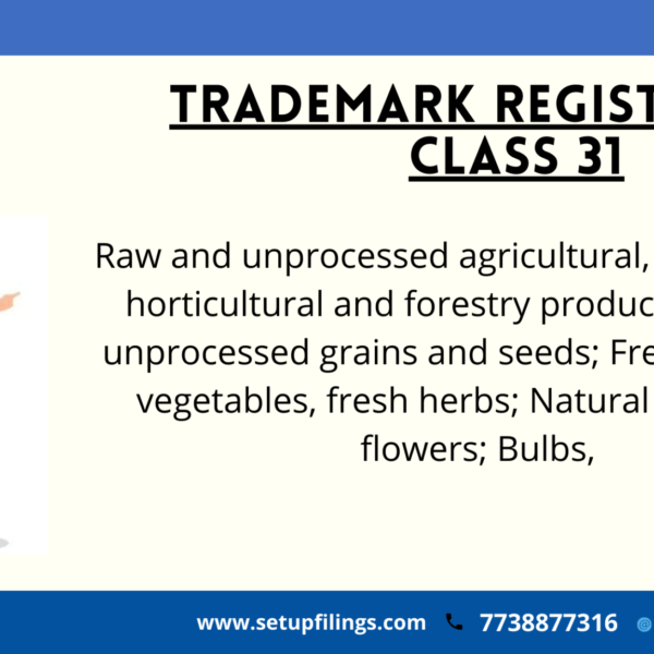 Trademark Class 30: Discover Food Categories | SetupFilings